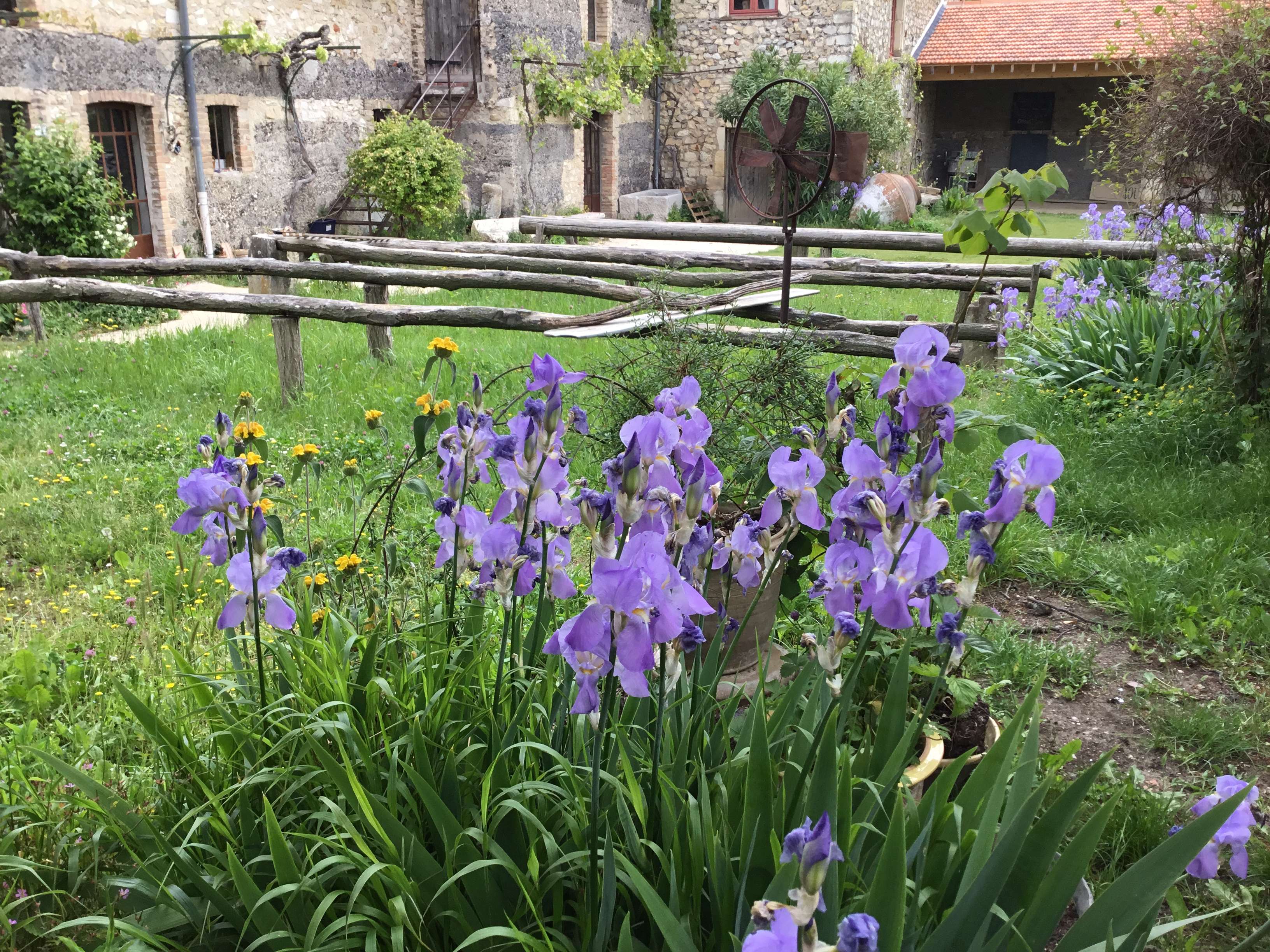 Visites Guidées - Fabrique de poteries de Cliousclat